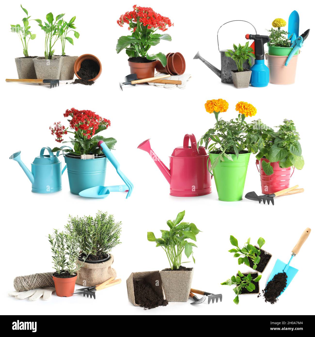 Set with modern gardening tools on white background Stock Photo - Alamy