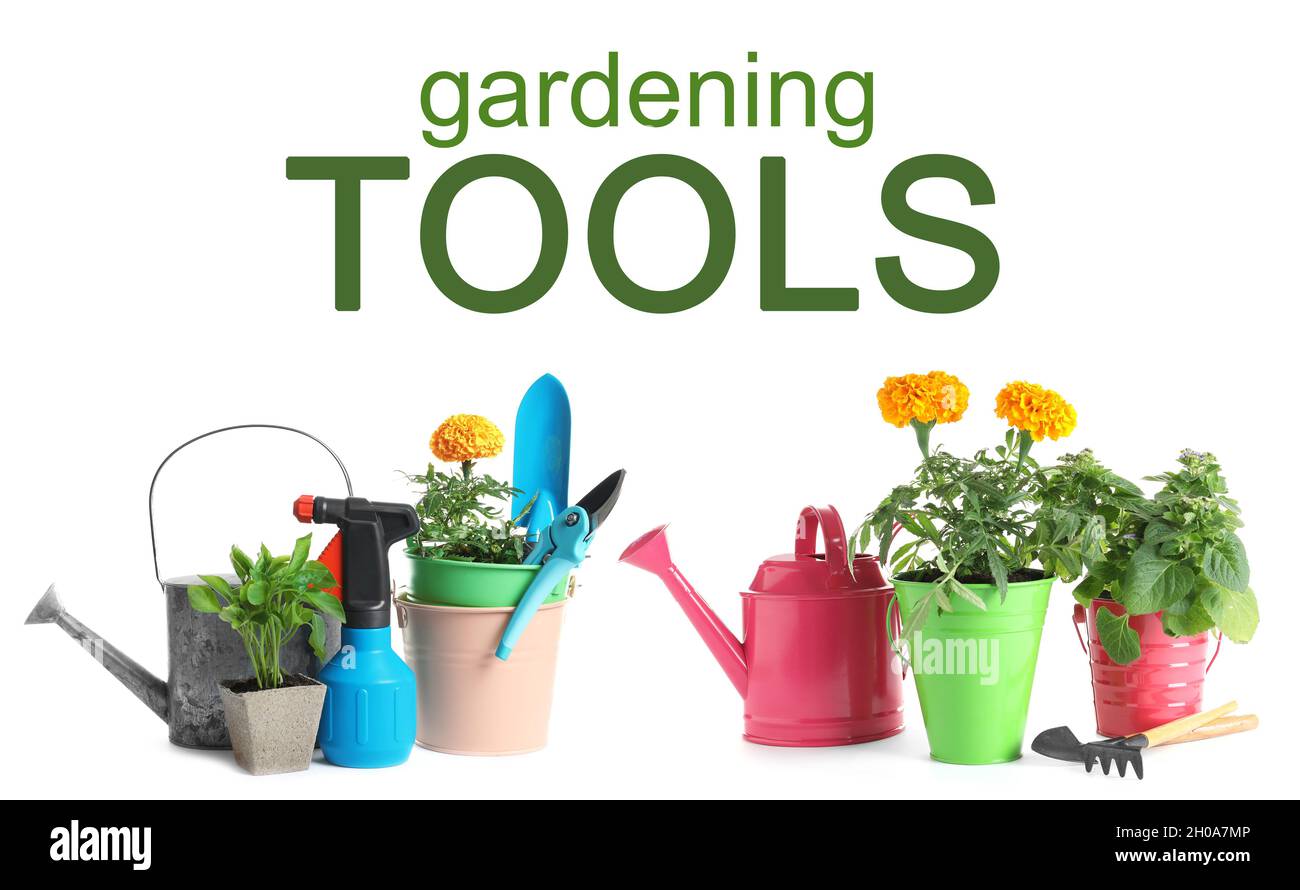 Set with modern gardening tools on white background Stock Photo - Alamy