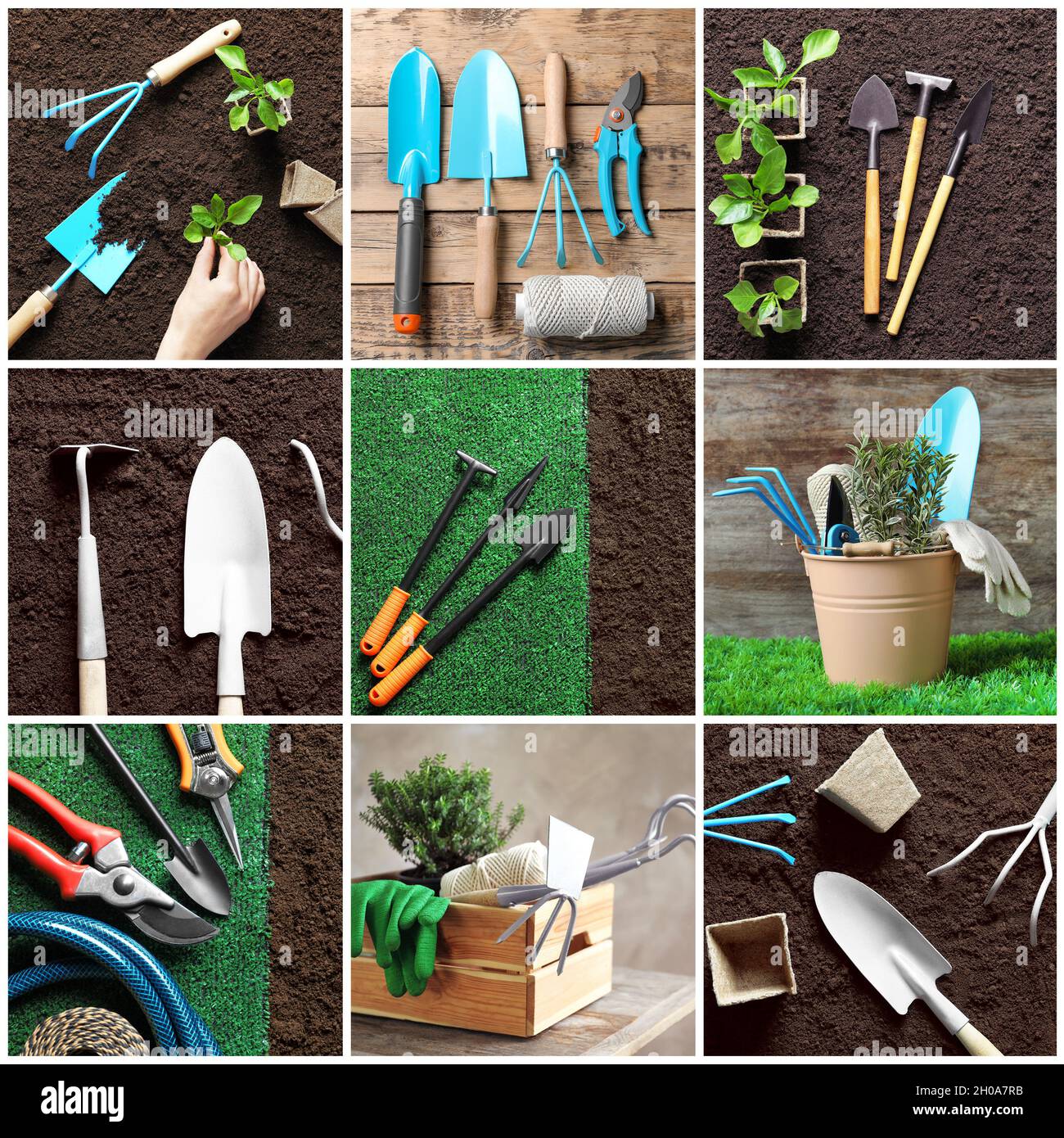 Set with modern gardening tools and plants Stock Photo - Alamy