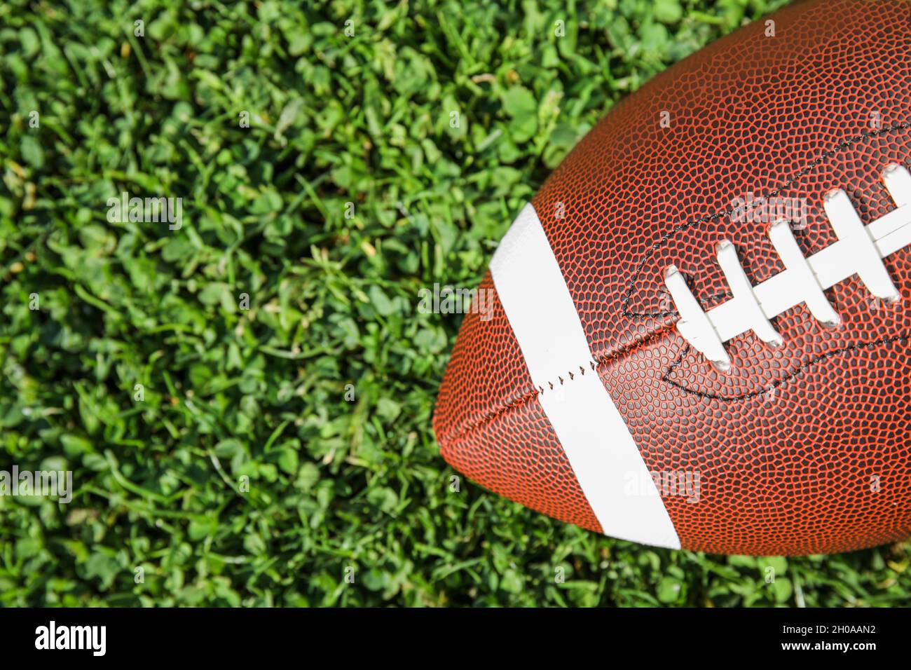 Nfl Football Ball On Grass