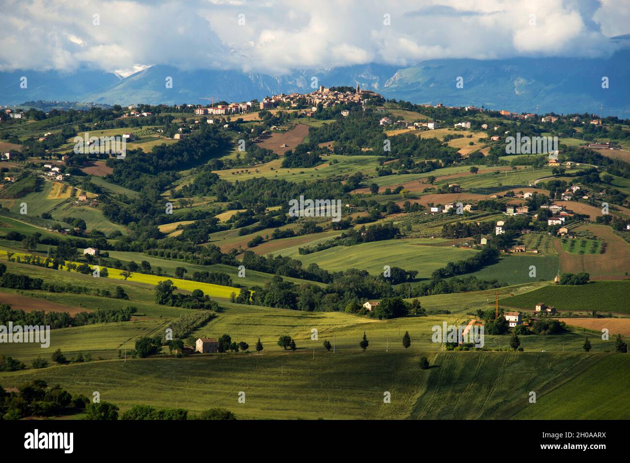 Loro piceno hi-res stock photography and images - Alamy