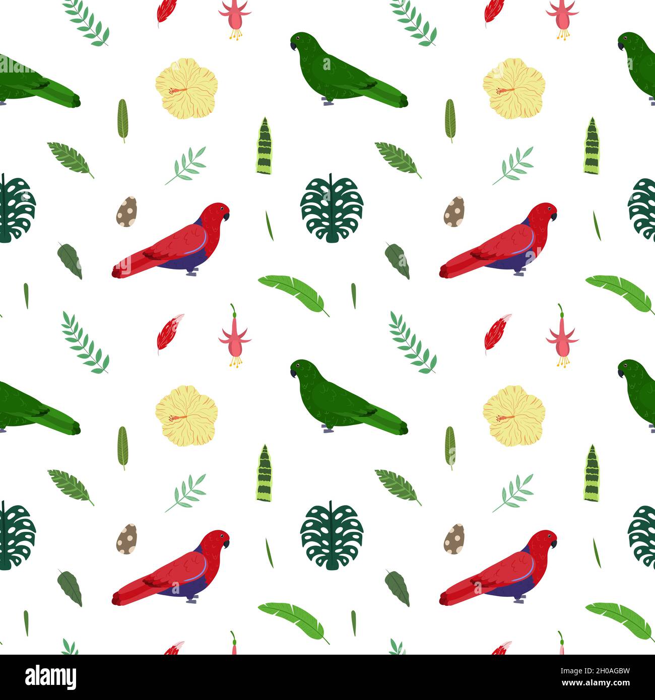 Eclectus parrots Stock Vector Images - Alamy
