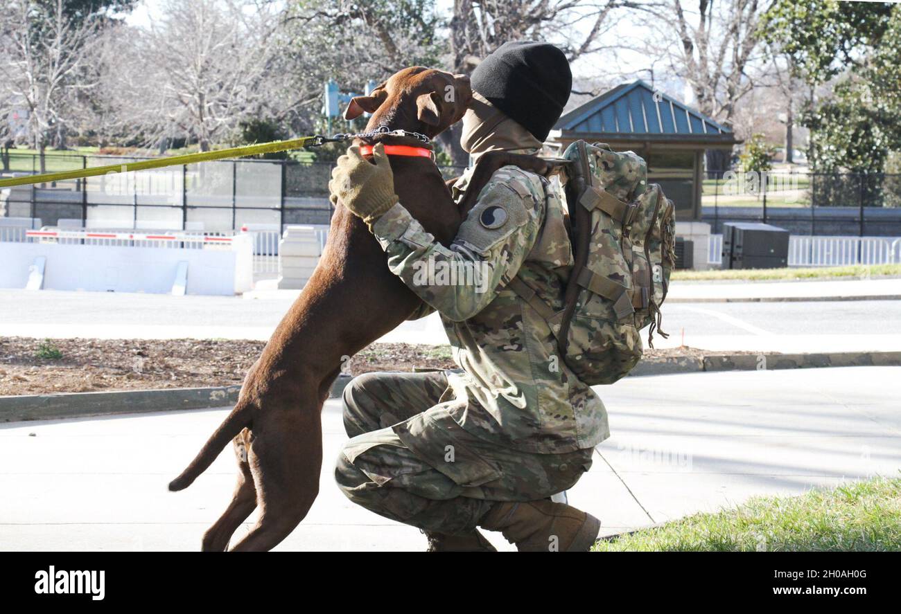 A dog greets a Virginia Army National Guard Soldier assigned to the ...