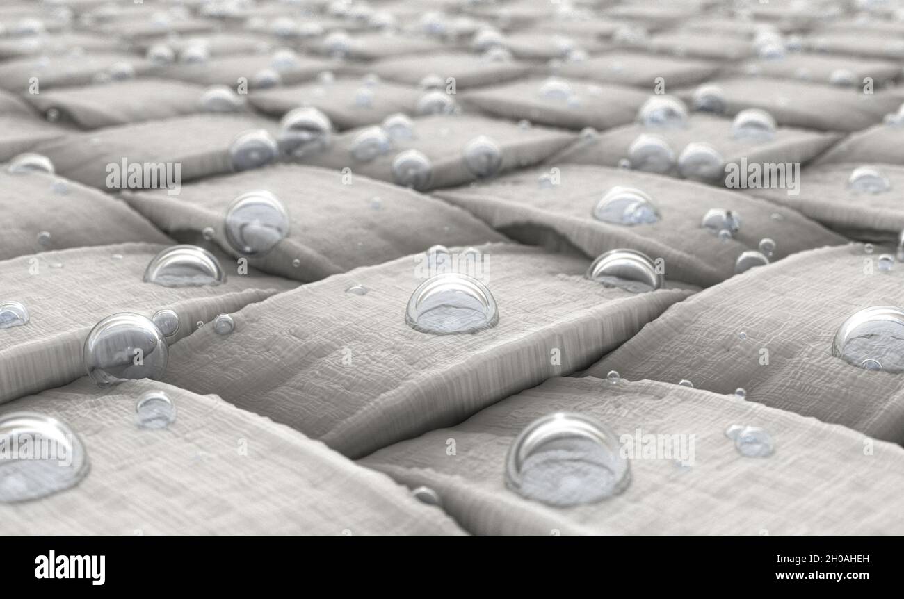 A microscopic view of a simple woven textile fabric and water bubbles ...