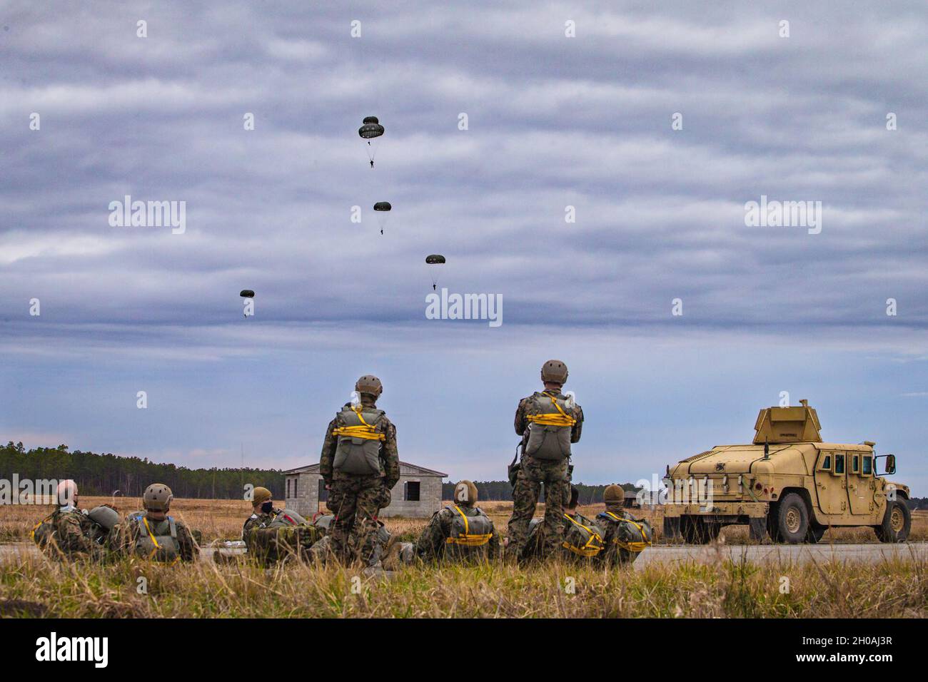 U.S. Marines observe their fellow Marines parachuting down after ...