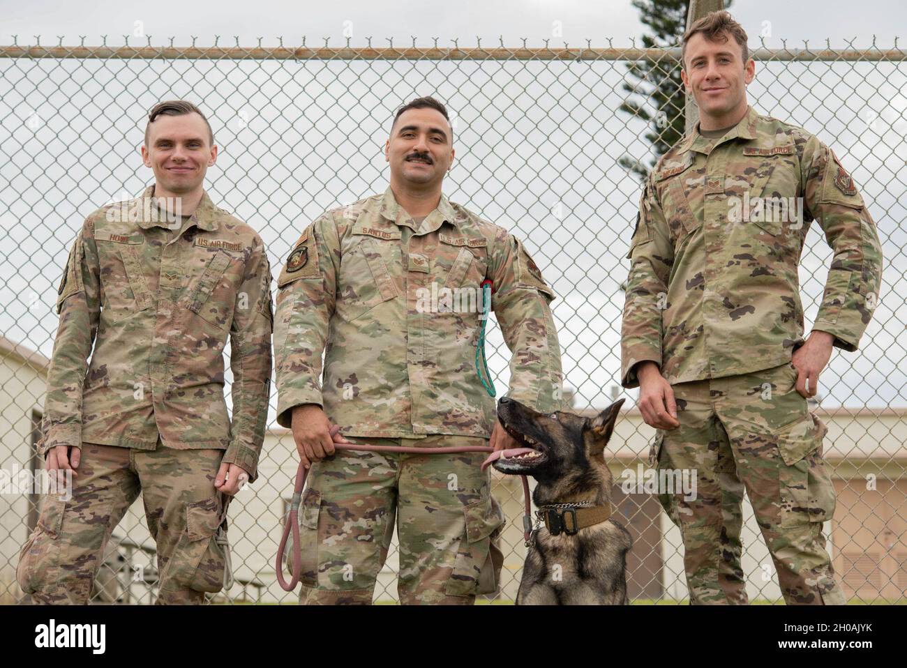 Kadena air base dog High Resolution Stock Photography and Images - Alamy