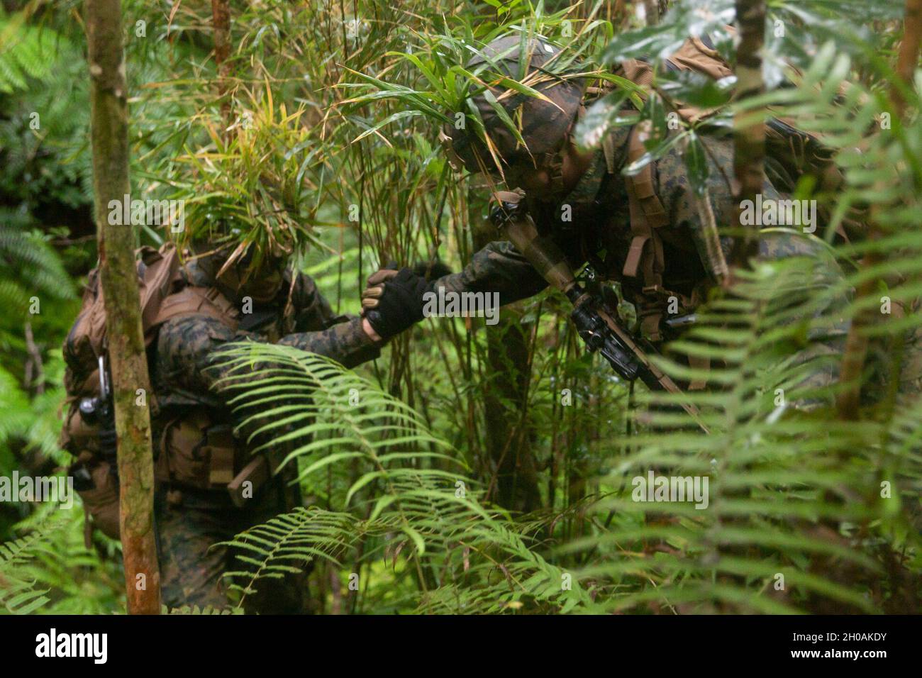 Basic infantry tactics hi-res stock photography and images - Alamy