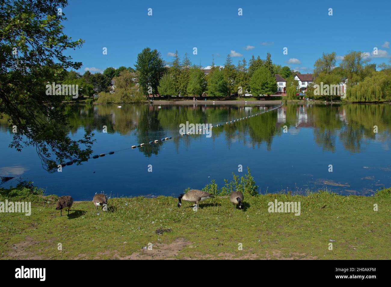 Roath Park Lake -- Cardiff Stock Photo - Alamy