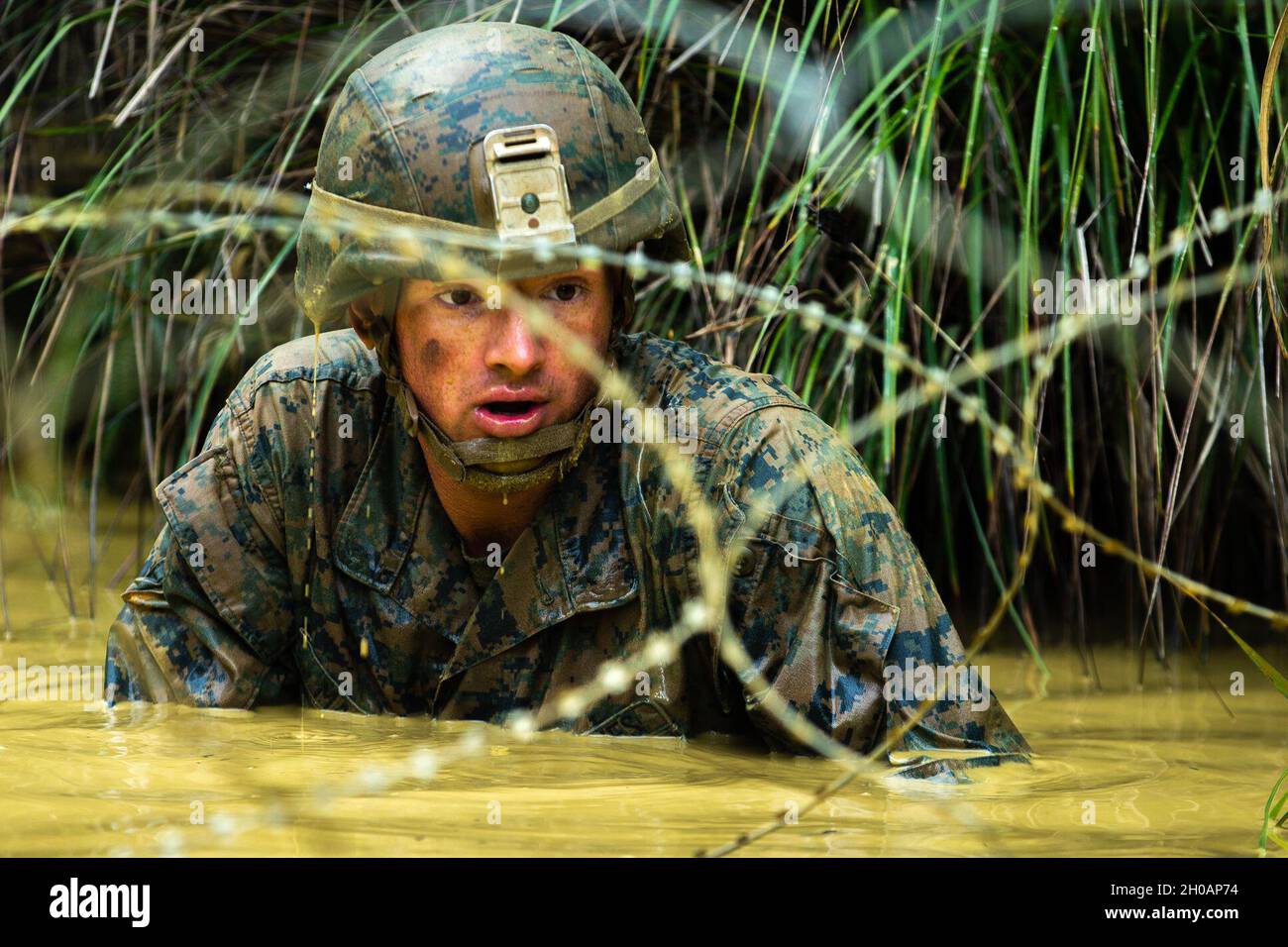 U.S. Marine Corps Lance Cpl. Alan Martin, an infantryman with 3d Marine ...
