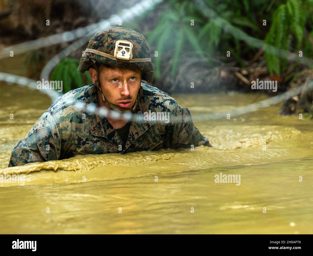 Razor wire machine hi-res stock photography and images - Alamy