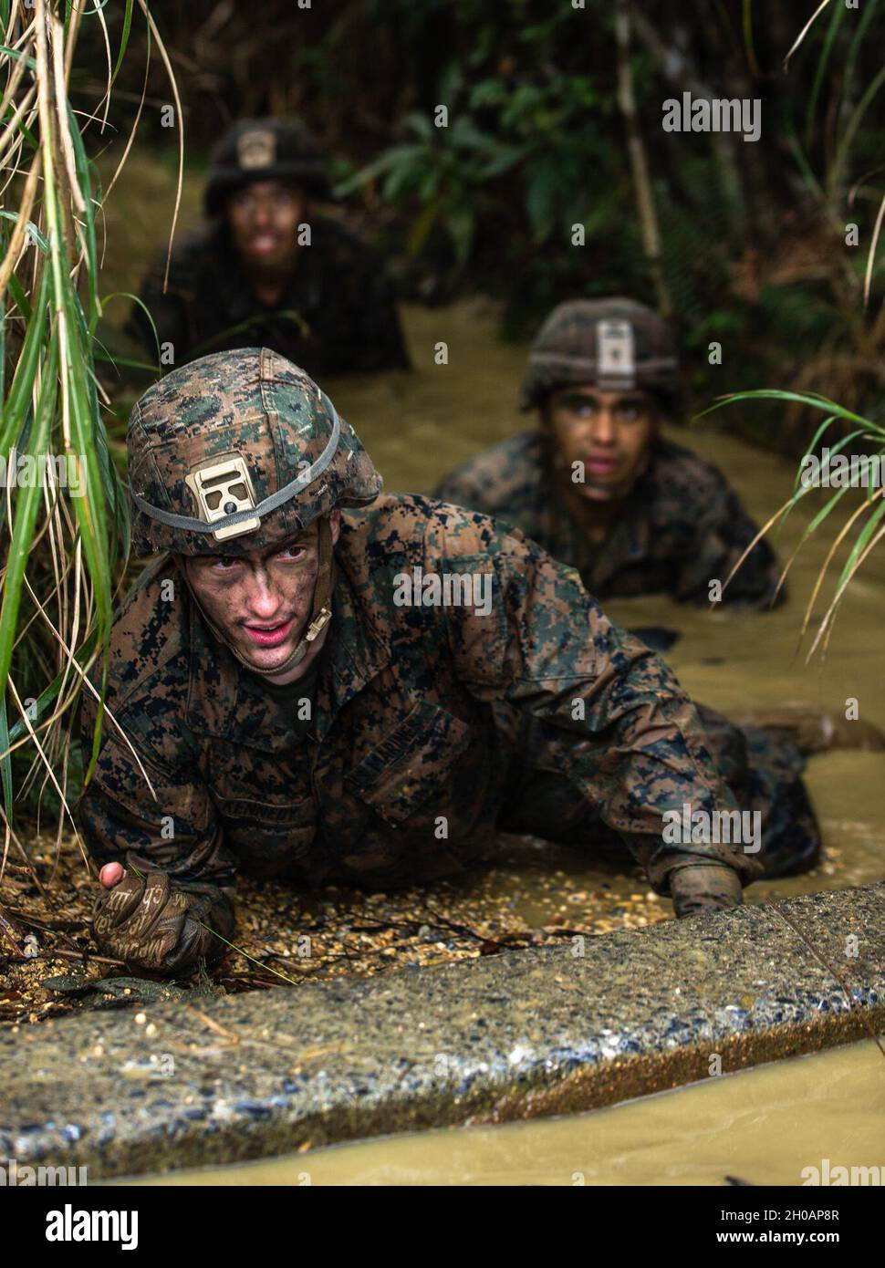 U.S. Marines with 3d Marine Division, low crawl through an obstacle ...