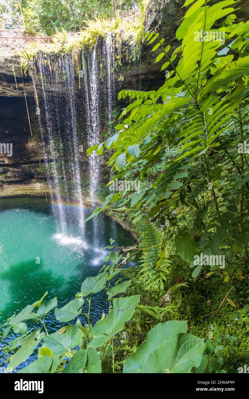 Beautiful waterfall view over green plants in the forest in Cenote ...