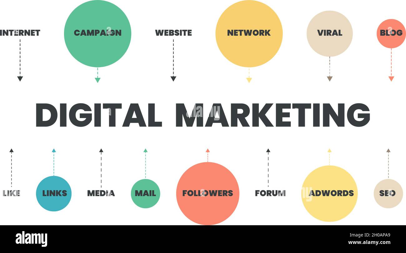 Creative Digital marketing infographic is a vector illustration of ...