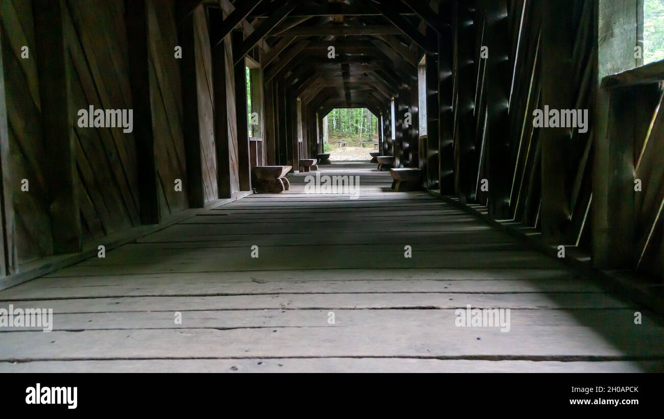 Eerie scenery through a wooden tunnel leading to the woods Stock Photo ...