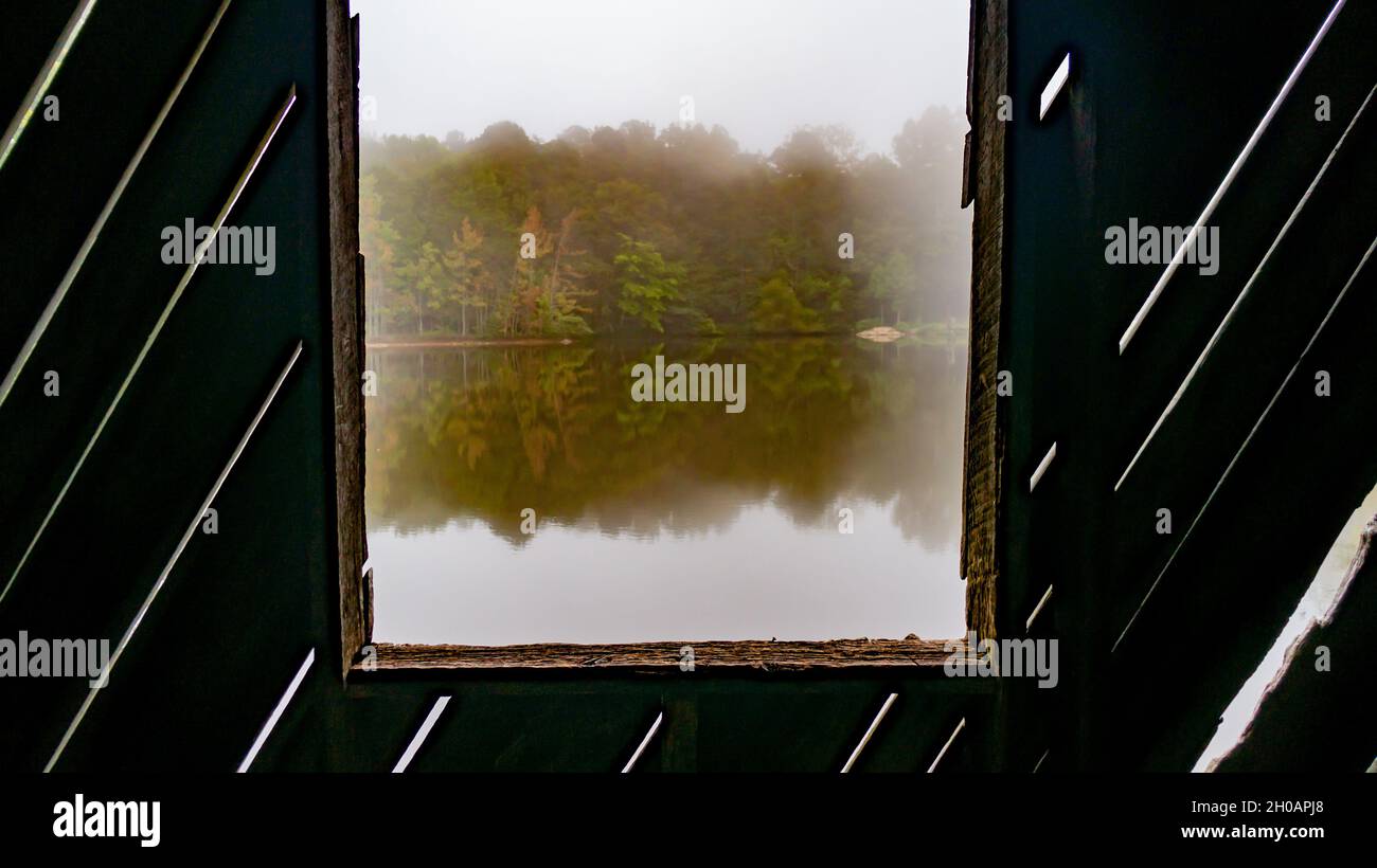 Eerie landscape of a swamp in a frame hanging on a wall Stock Photo - Alamy
