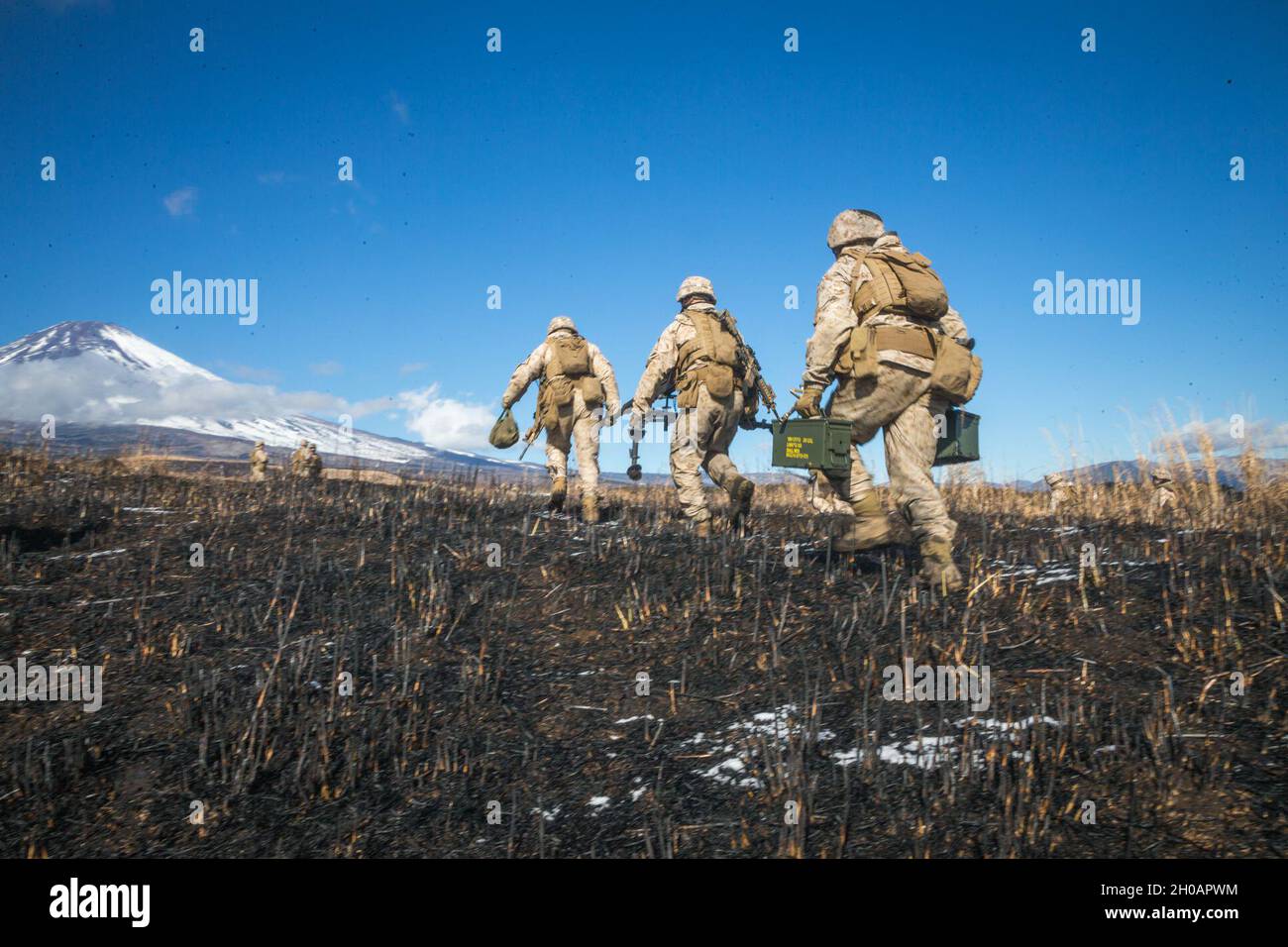 U.S. Marines with Combined Anti-Armor Team 2, 3d Battalion, 8th Marine ...