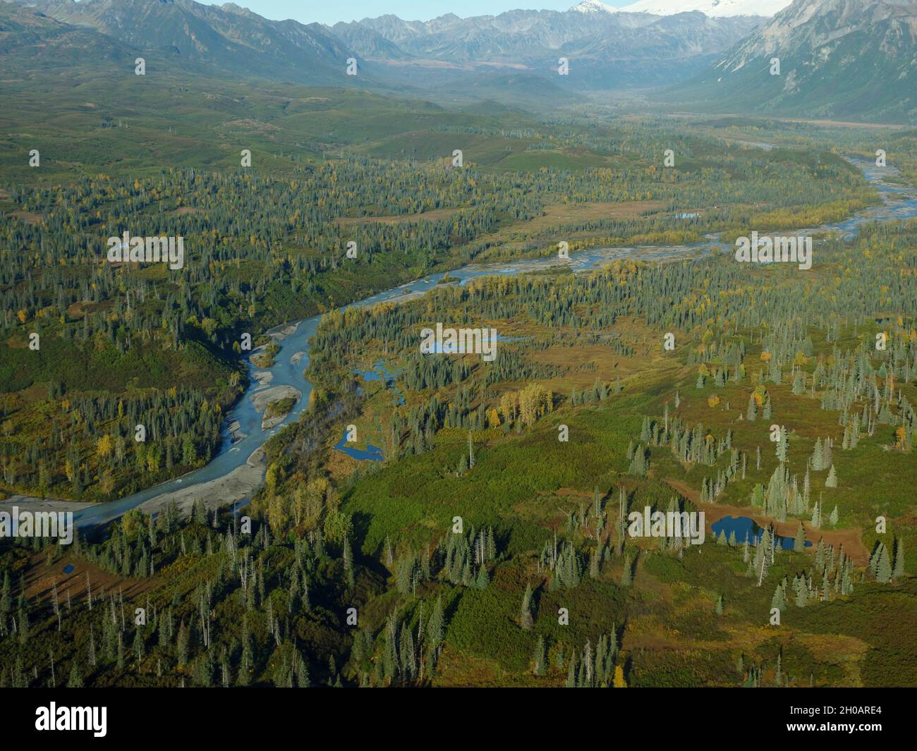 Aerial view of South Central Alaska. United States of America (USA ...