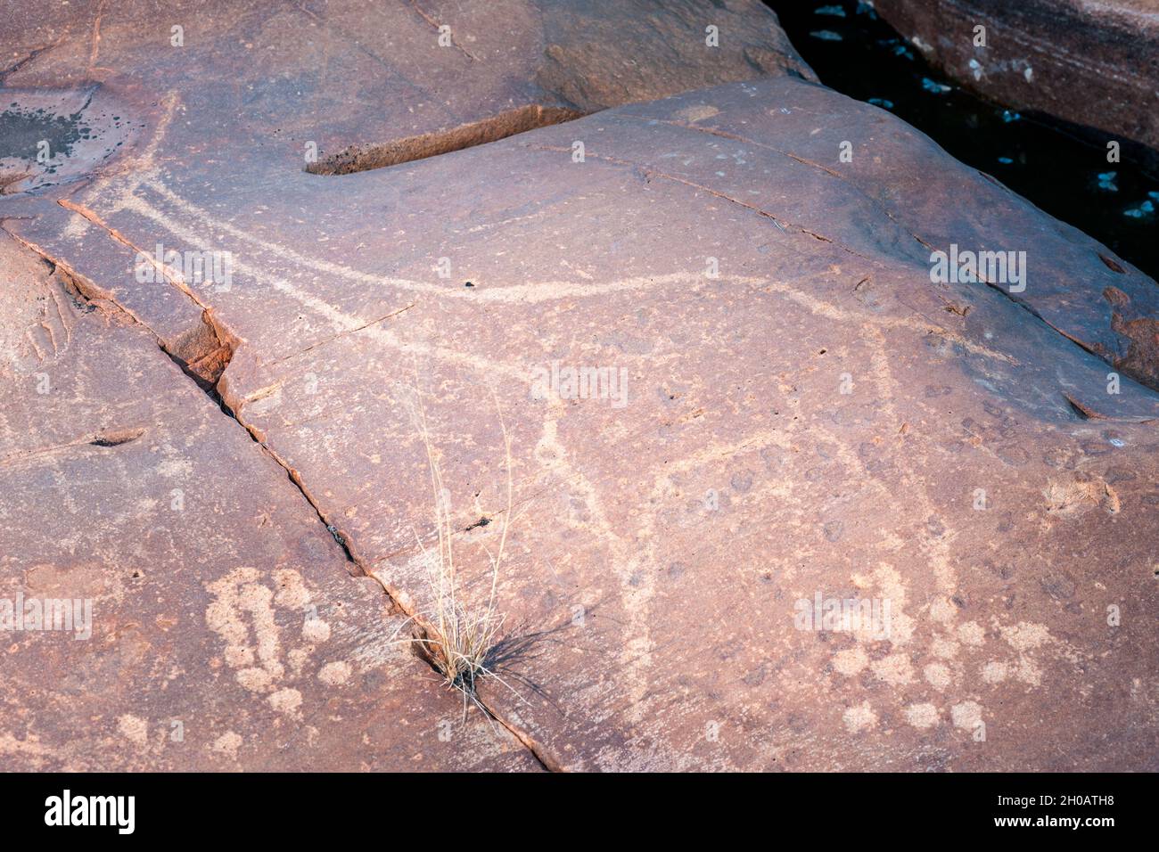 Petroglyph Africa High Resolution Stock Photography and Images - Alamy