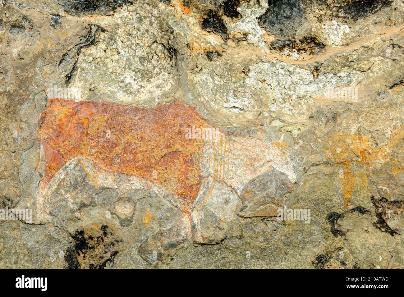 San or Bushman rock art on a sandstone cave wall near Clarence. Free ...