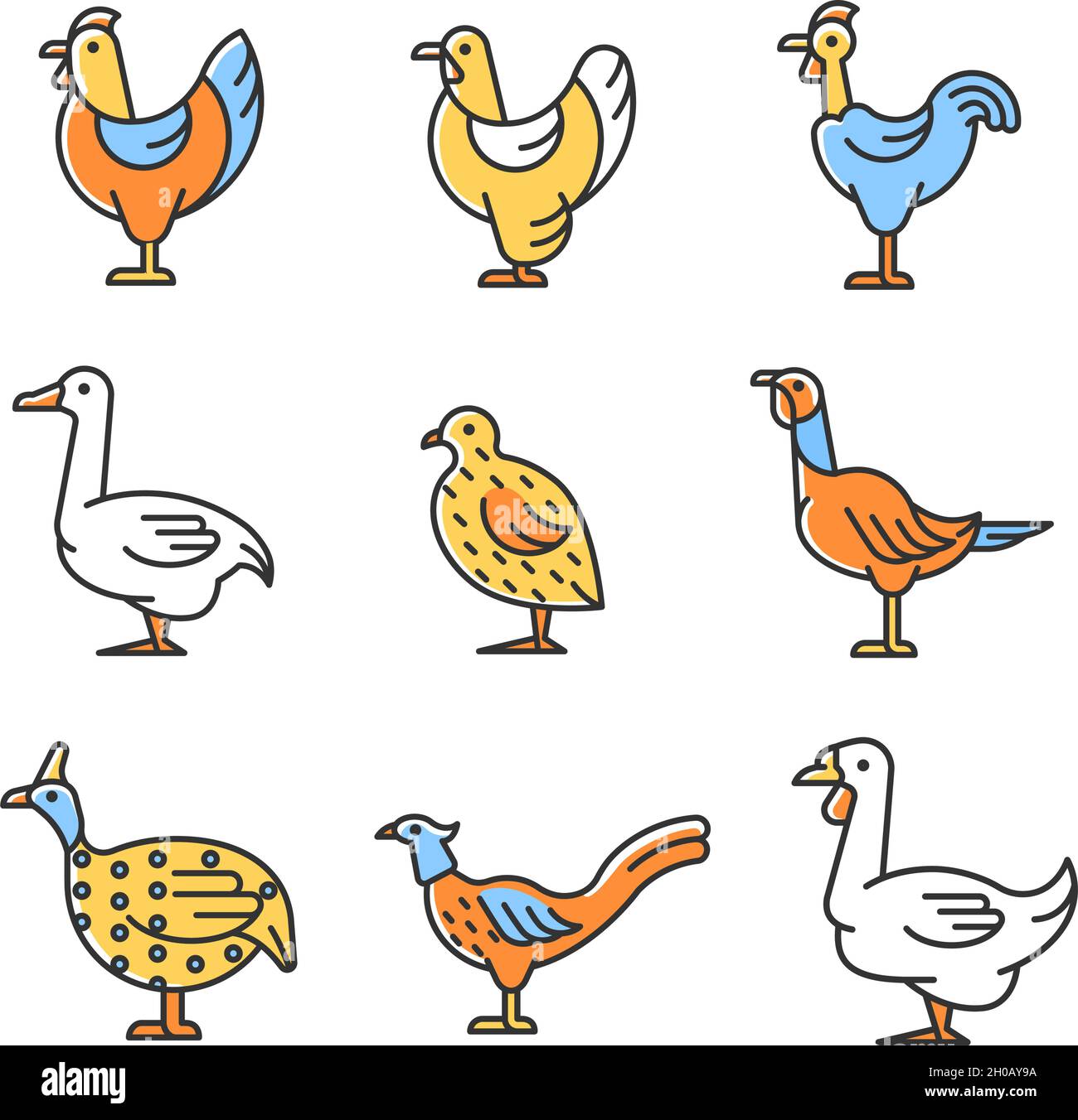 Domesticated birds RGB color icons set Stock Vector Image & Art - Alamy