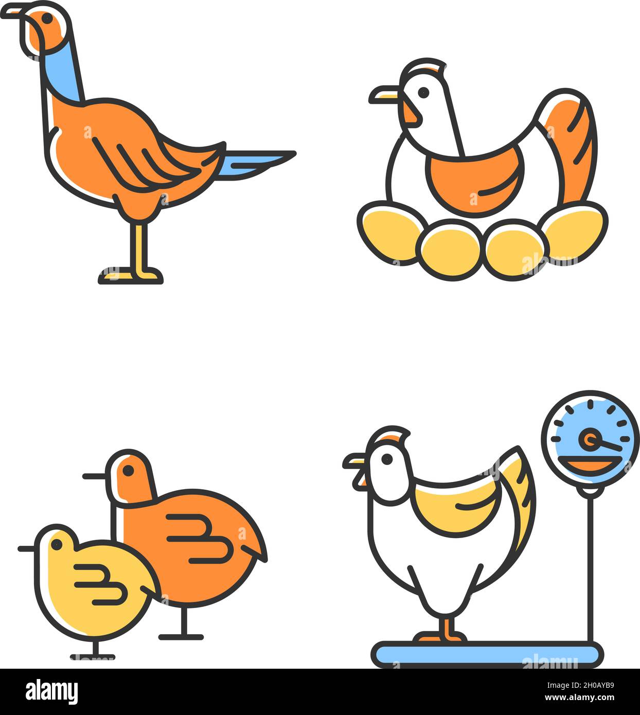 Layer hens Stock Vector Images - Alamy