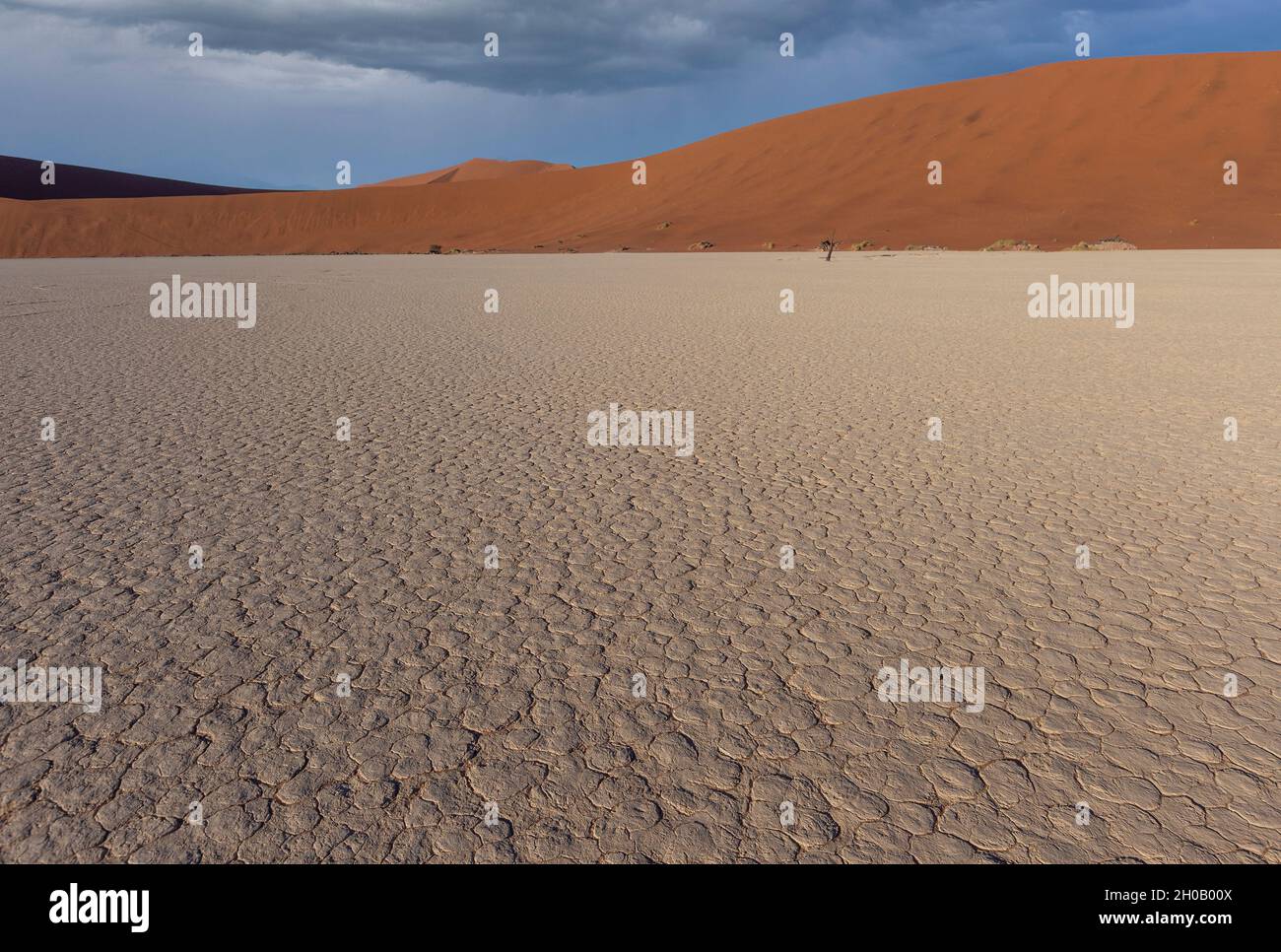 Dead Vlei, white clay basin located near the famous Sossusvlei salt ...