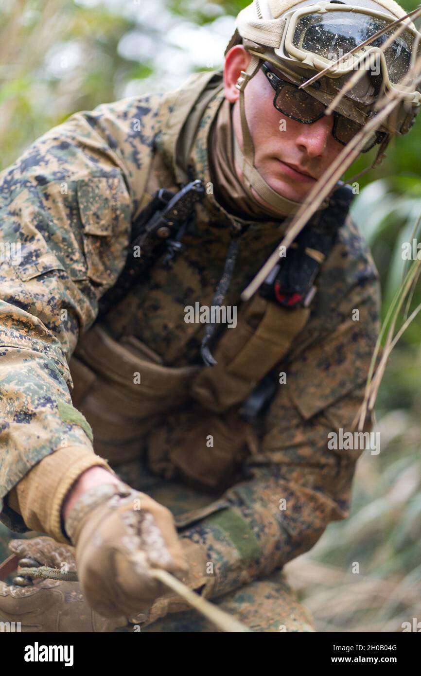 Barton manor hi-res stock photography and images - Alamy