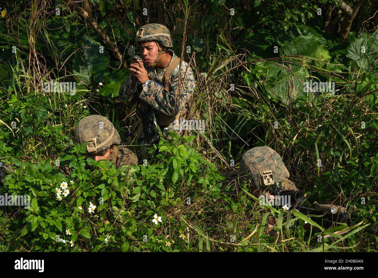 U.S. Marines with 3d Marine Division, setup a position for the ...