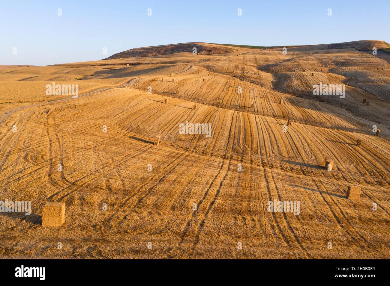 Bales of straw and abstract patterns in cornfield after wheat harvest ...
