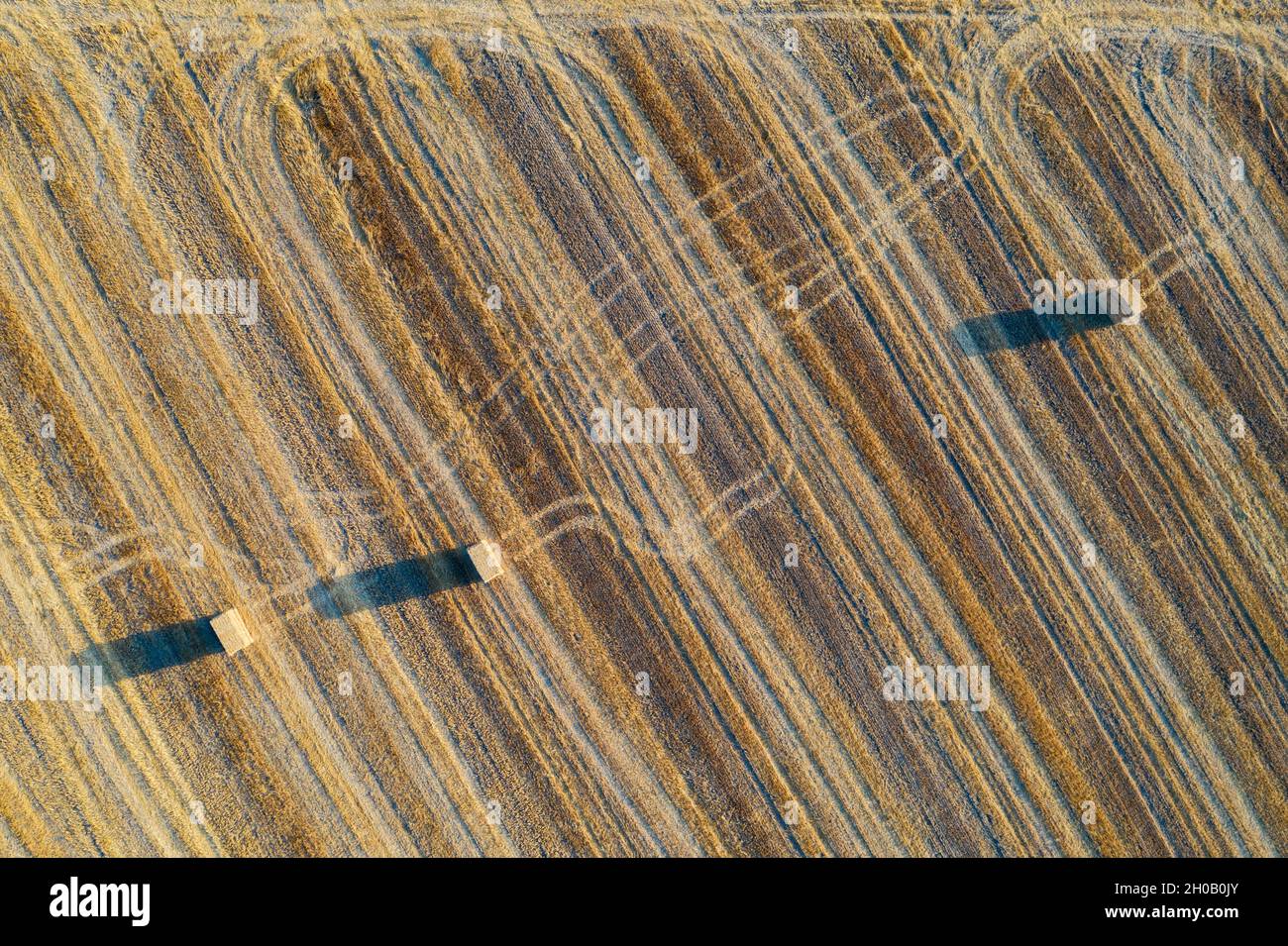 Bales of straw and abstract patterns in cornfield after wheat harvest ...