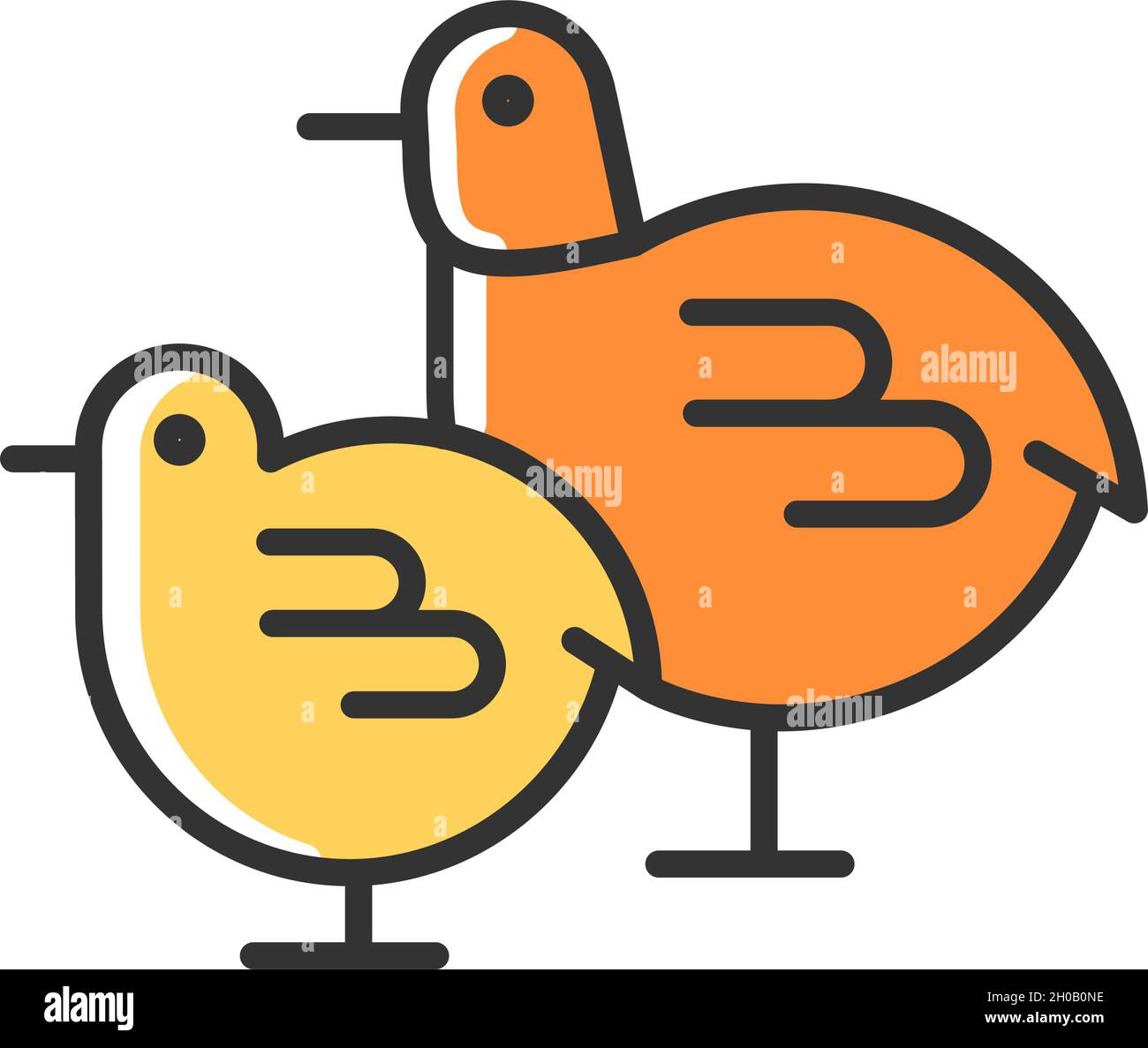 Chicks poultry chicken bird yellow Stock Vector Images - Alamy