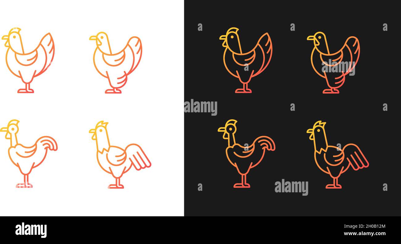 Chicken breeds gradient icons set for dark and light mode Stock Vector ...