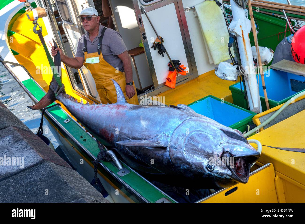 Artisanal and selective fishing for bluefin tuna, locally called ...