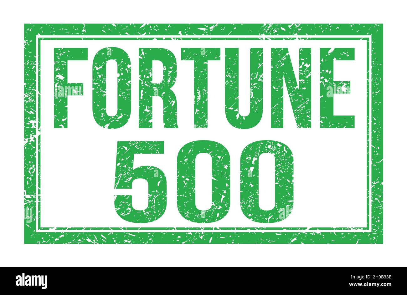Fortune 500 Logo Vector