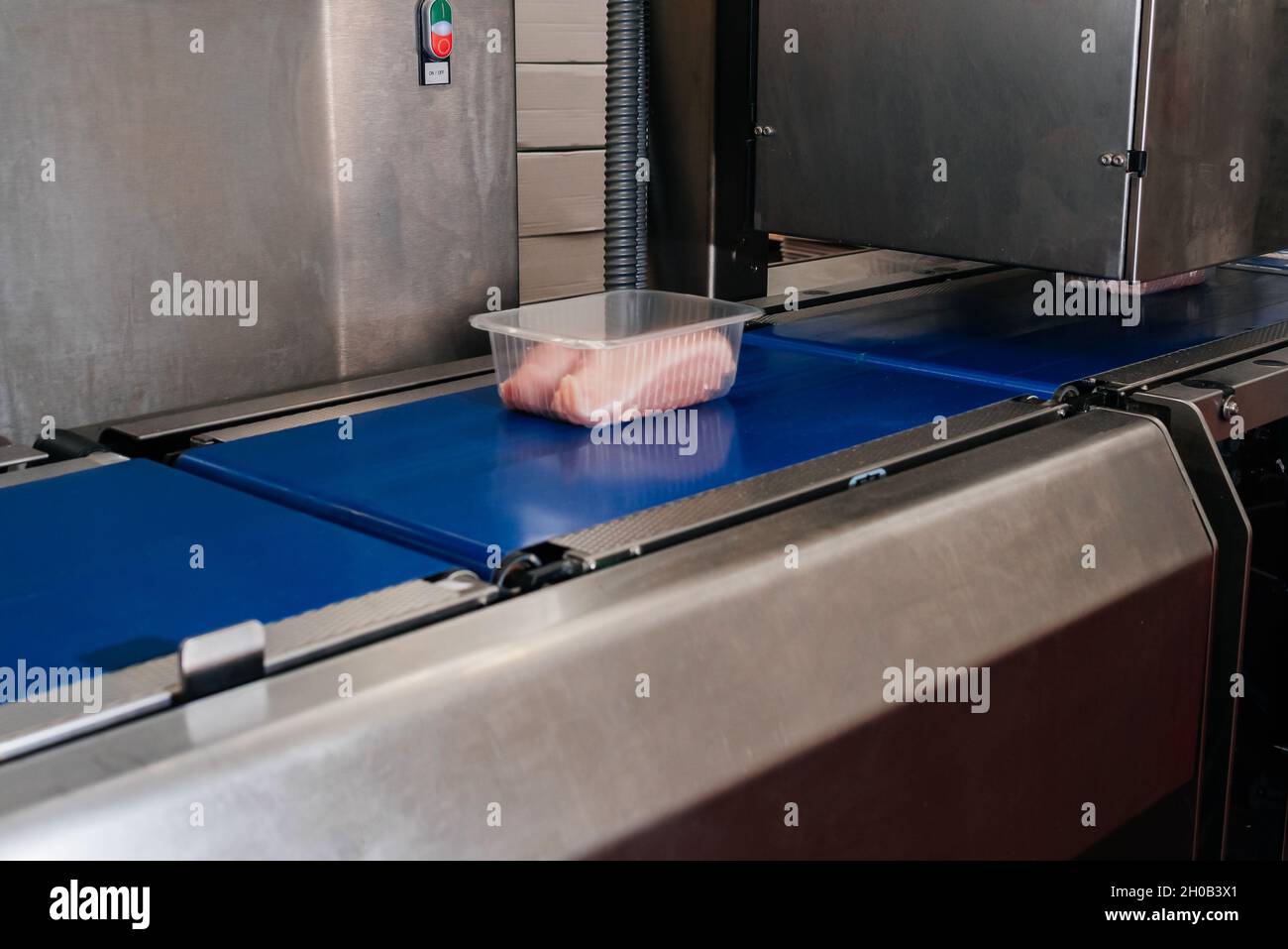 Meat processing equipment.Automated production line with packaging and ...