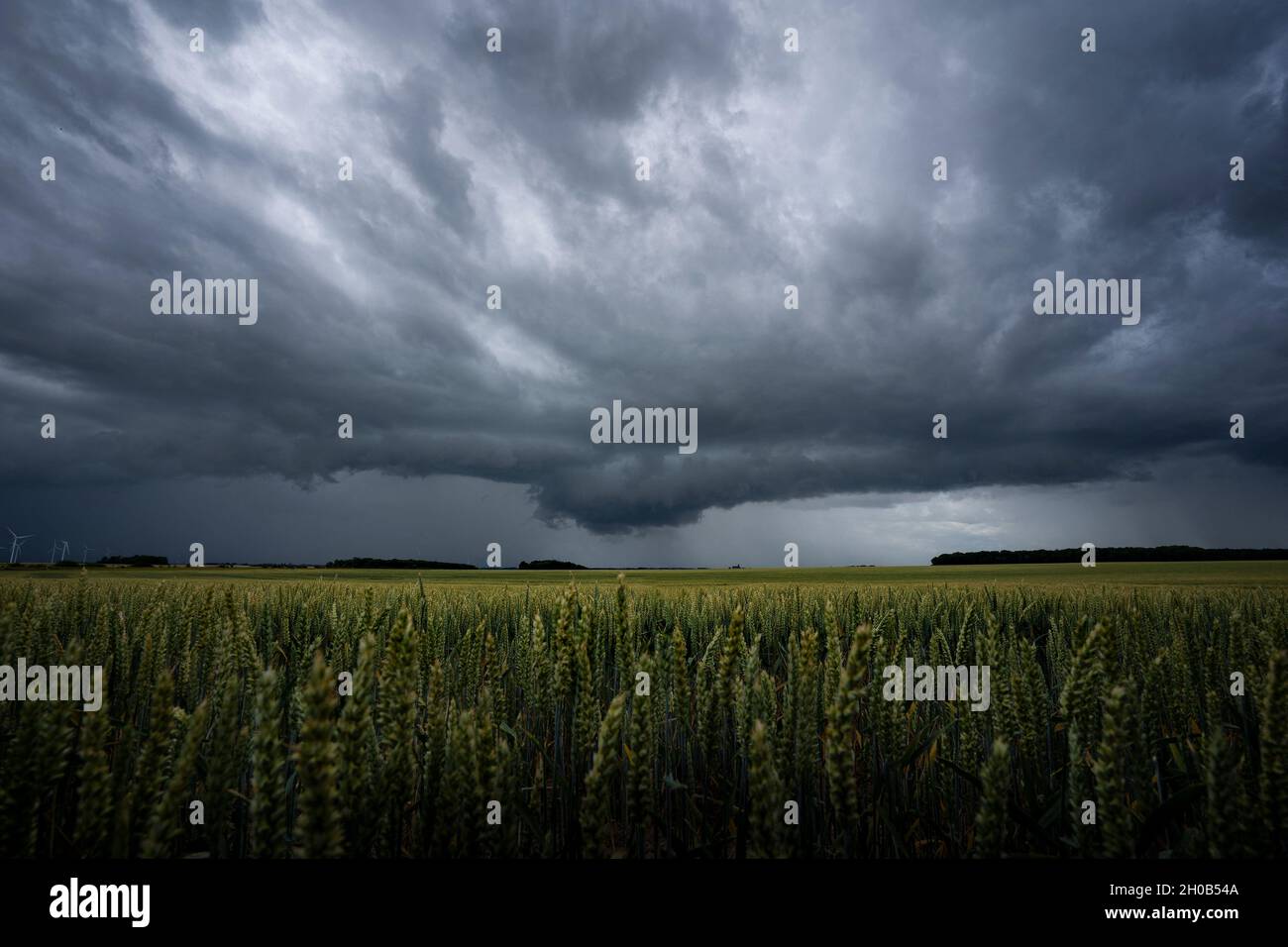 Strong plains hi-res stock photography and images - Alamy