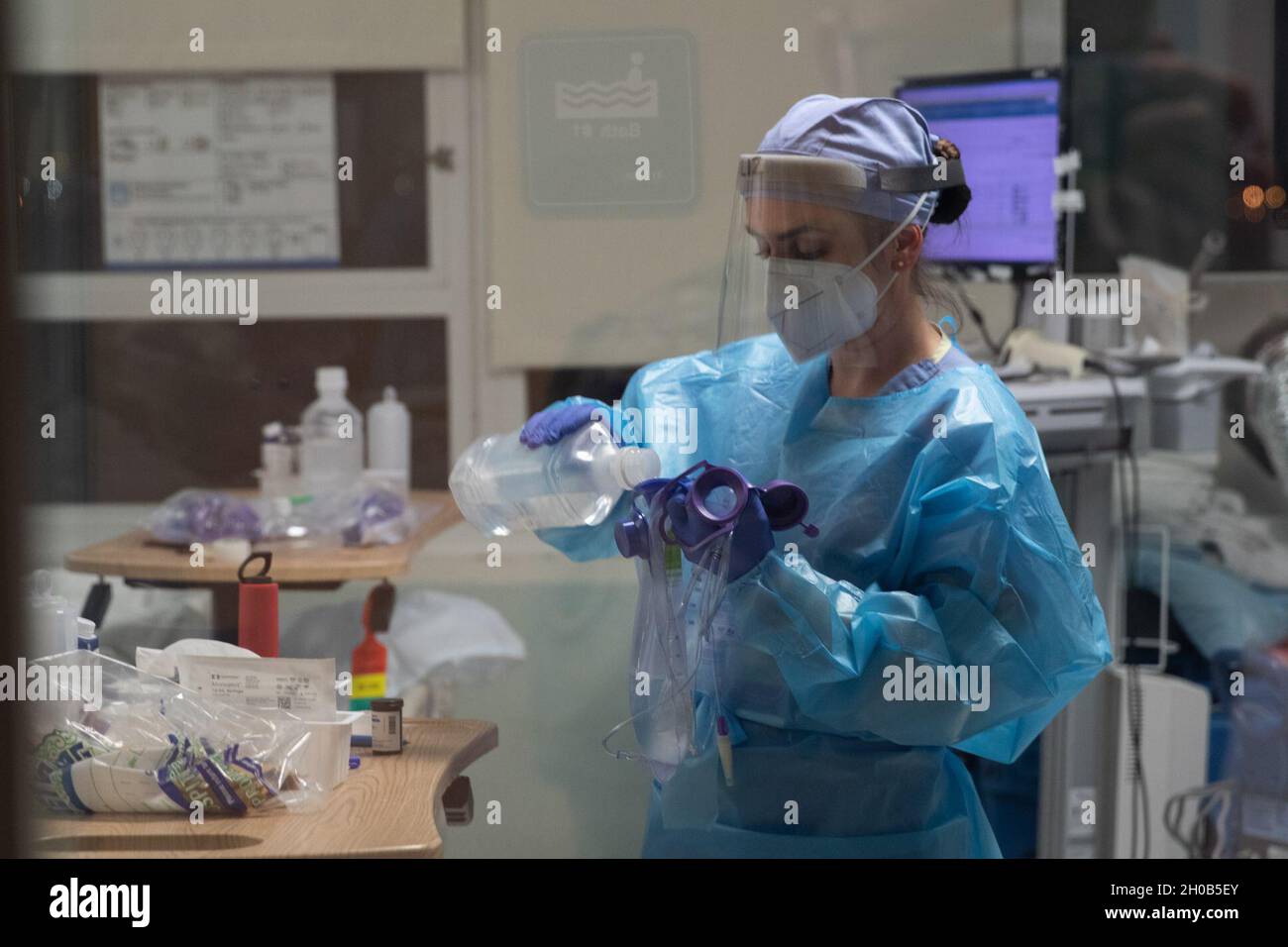 Elizabeth travis hi-res stock photography and images - Alamy