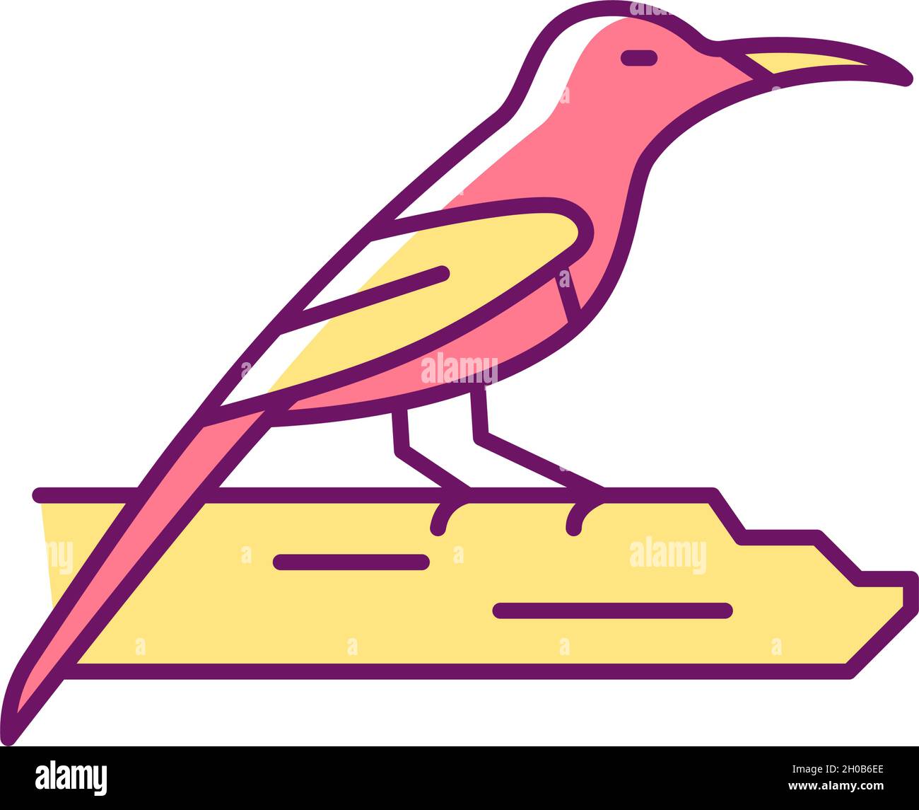 Asian sunbird species Stock Vector Images - Alamy