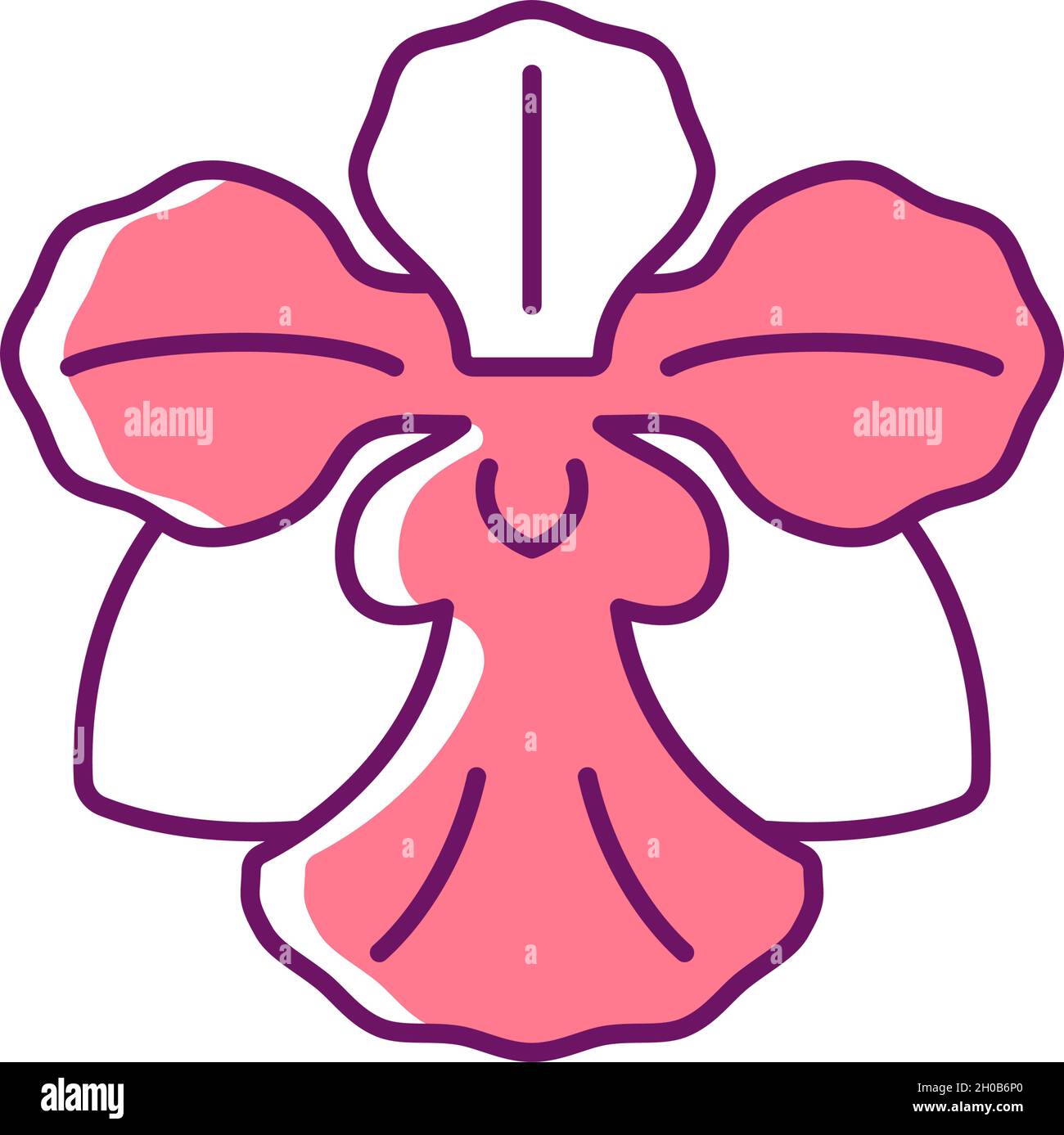 Vanda miss joaquim national flower of singapore hi-res stock ...