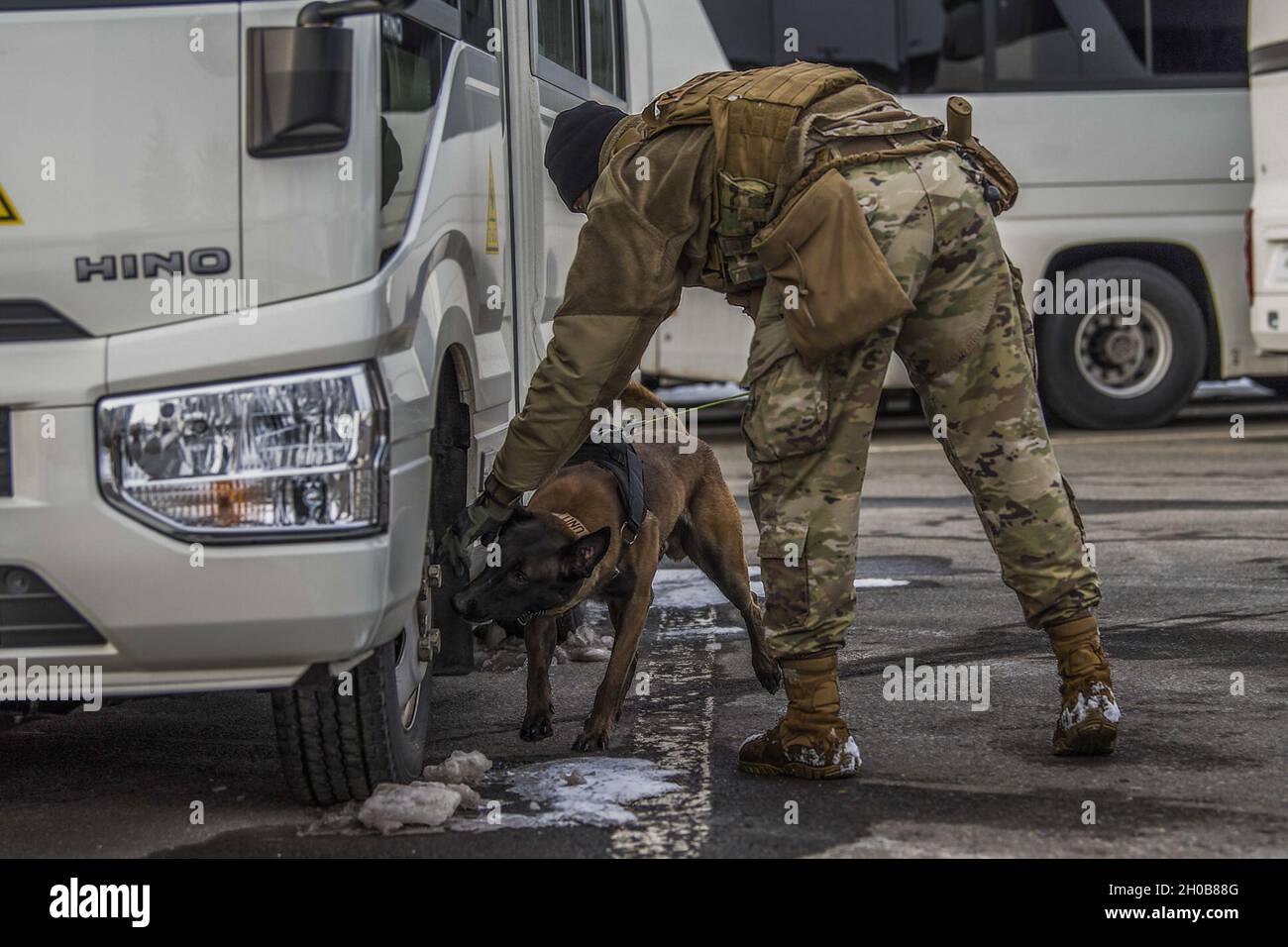 Narcotics detection dog hi-res stock photography and images - Alamy
