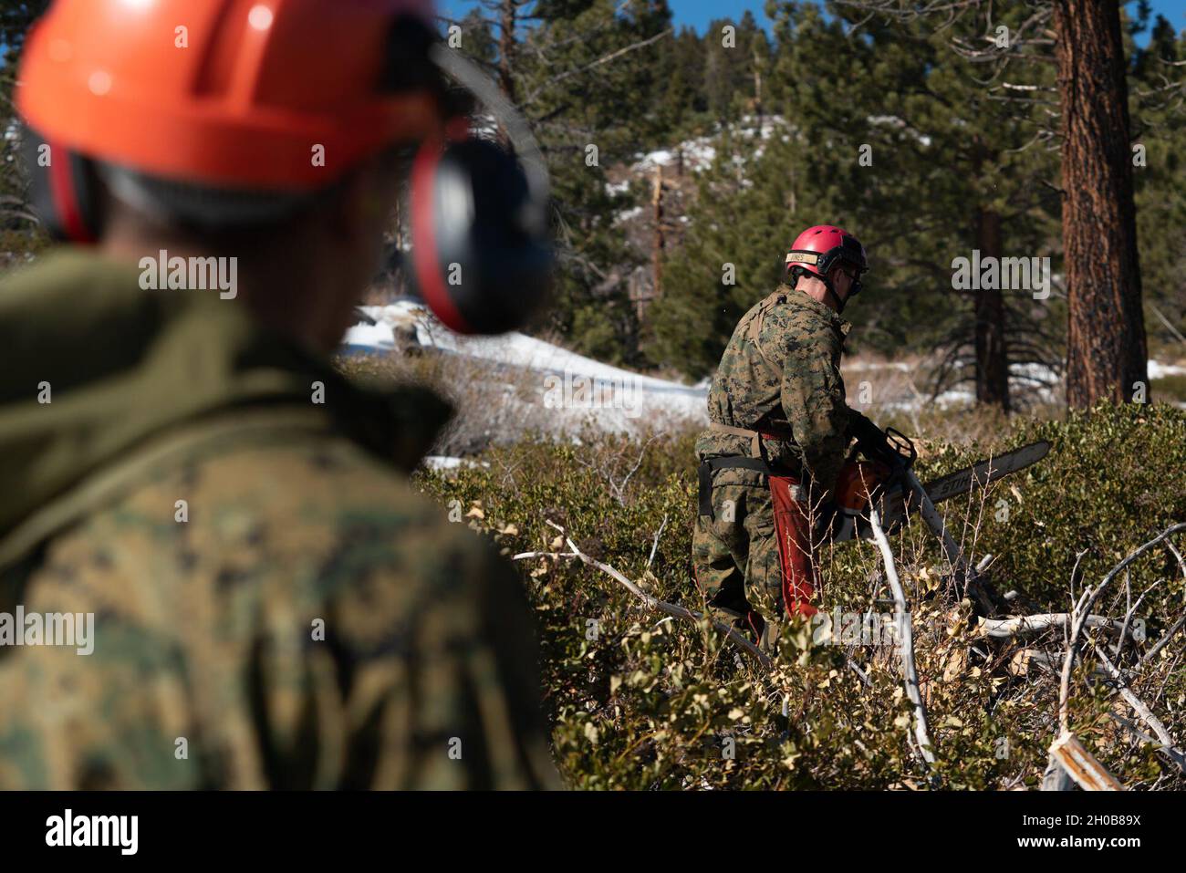 U.S. Marine LCpl. Laurance Oliver, a combat engineer with 1st Combat ...