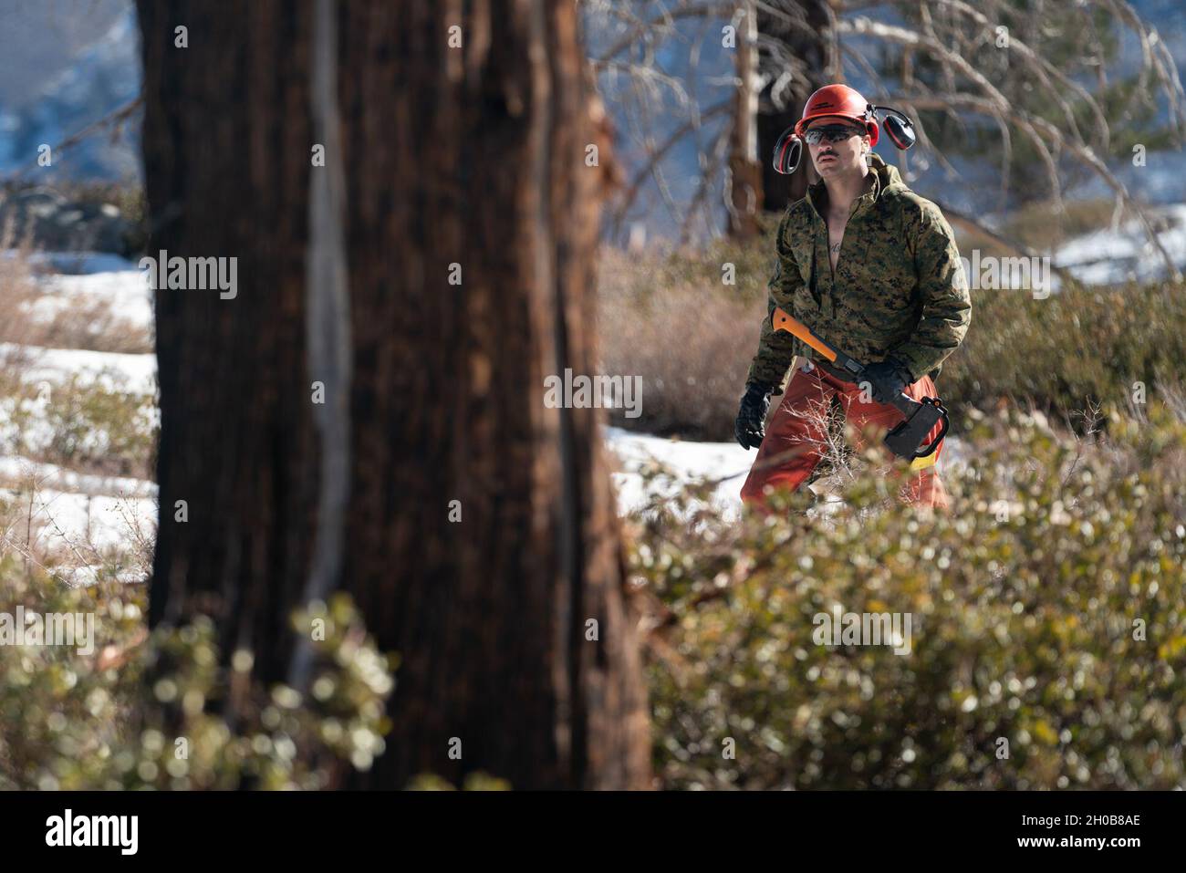 U.S. Marine LCpl. Laurance Oliver, a combat engineer with 1st Combat ...