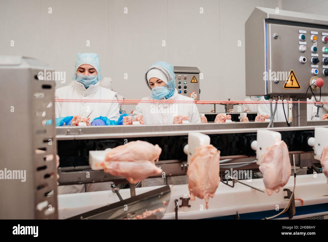 Conveyor Belt Food.The meat factory. Chicken fillet production line ...