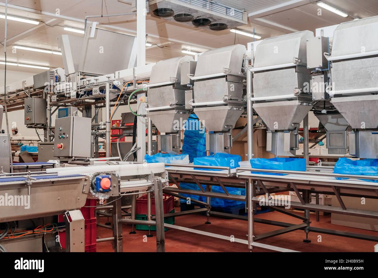 Conveyor Belt Food.The meat factory. Chicken fillet production line ...