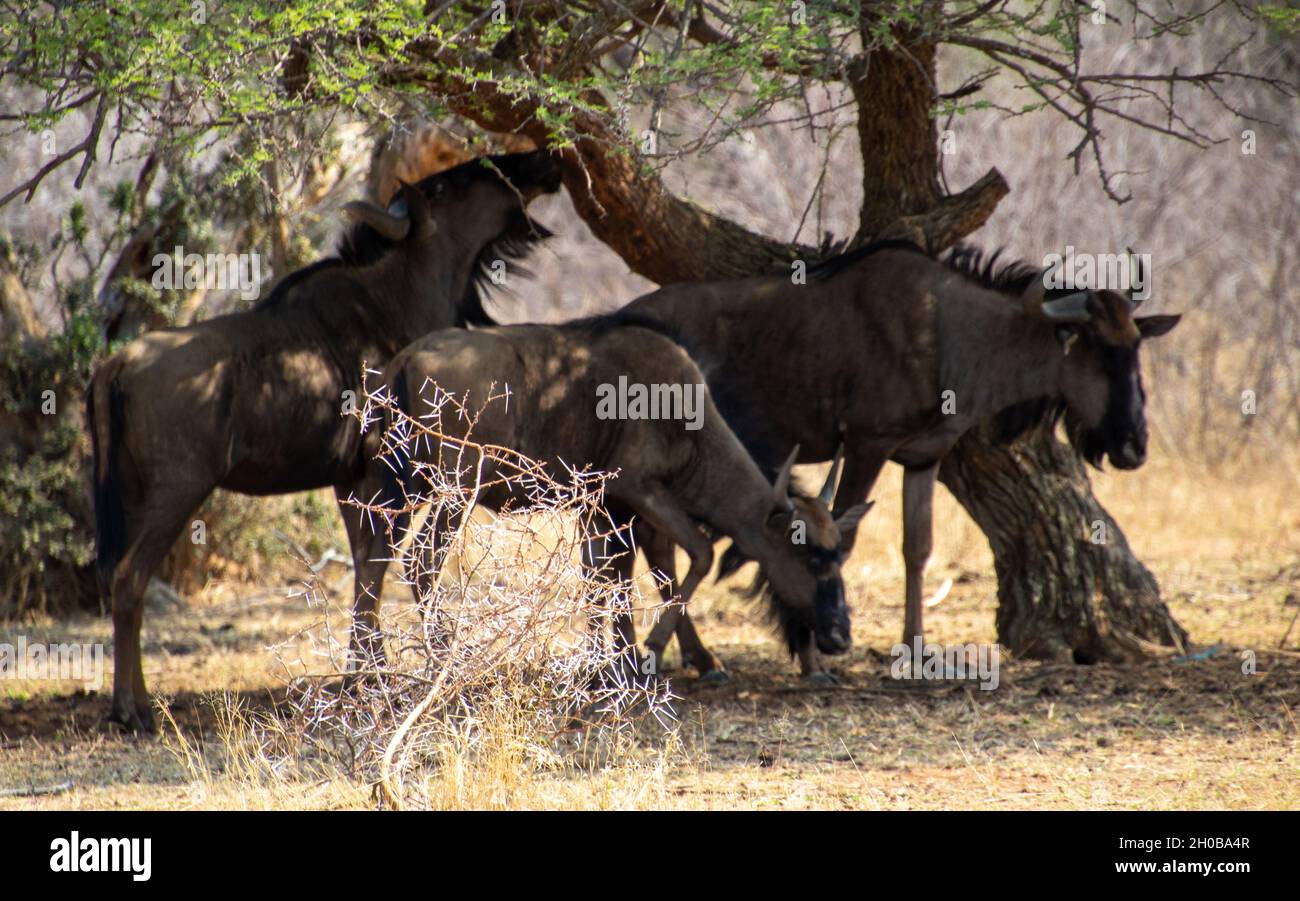 Isolated Wilderness Setting High Resolution Stock Photography and ...