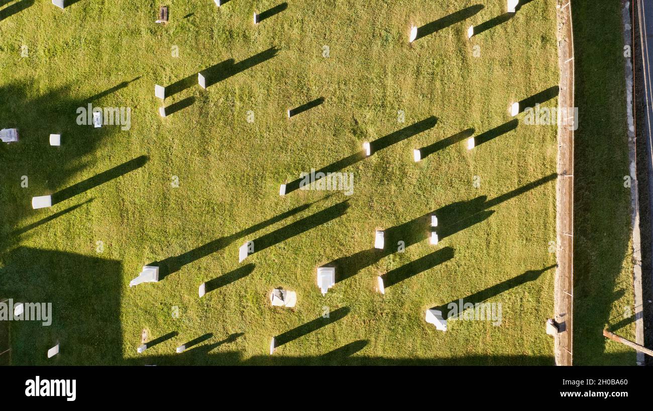 Tombstones grassy field cemetery hi-res stock photography and images ...