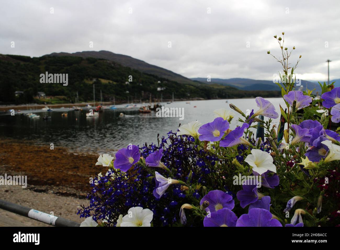 Ullapool is a port hi-res stock photography and images - Alamy