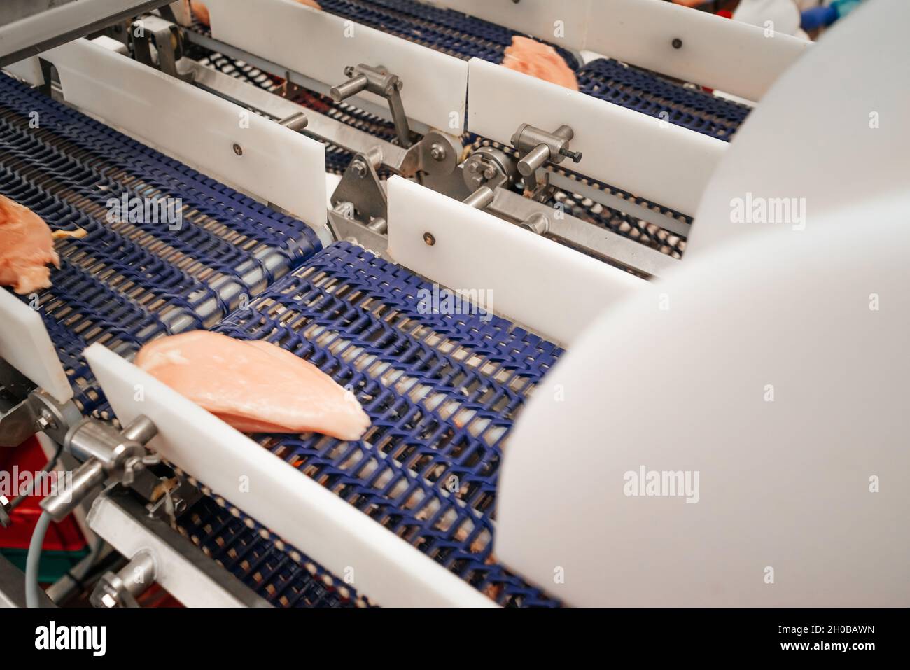 Conveyor Belt Food.The meat factory. Chicken fillet production line ...