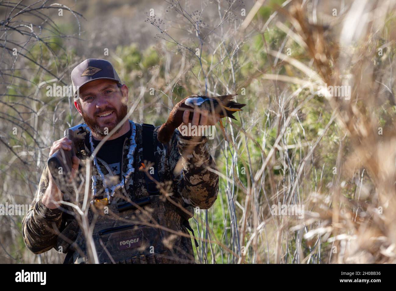 Wildlife population hi-res stock photography and images - Alamy