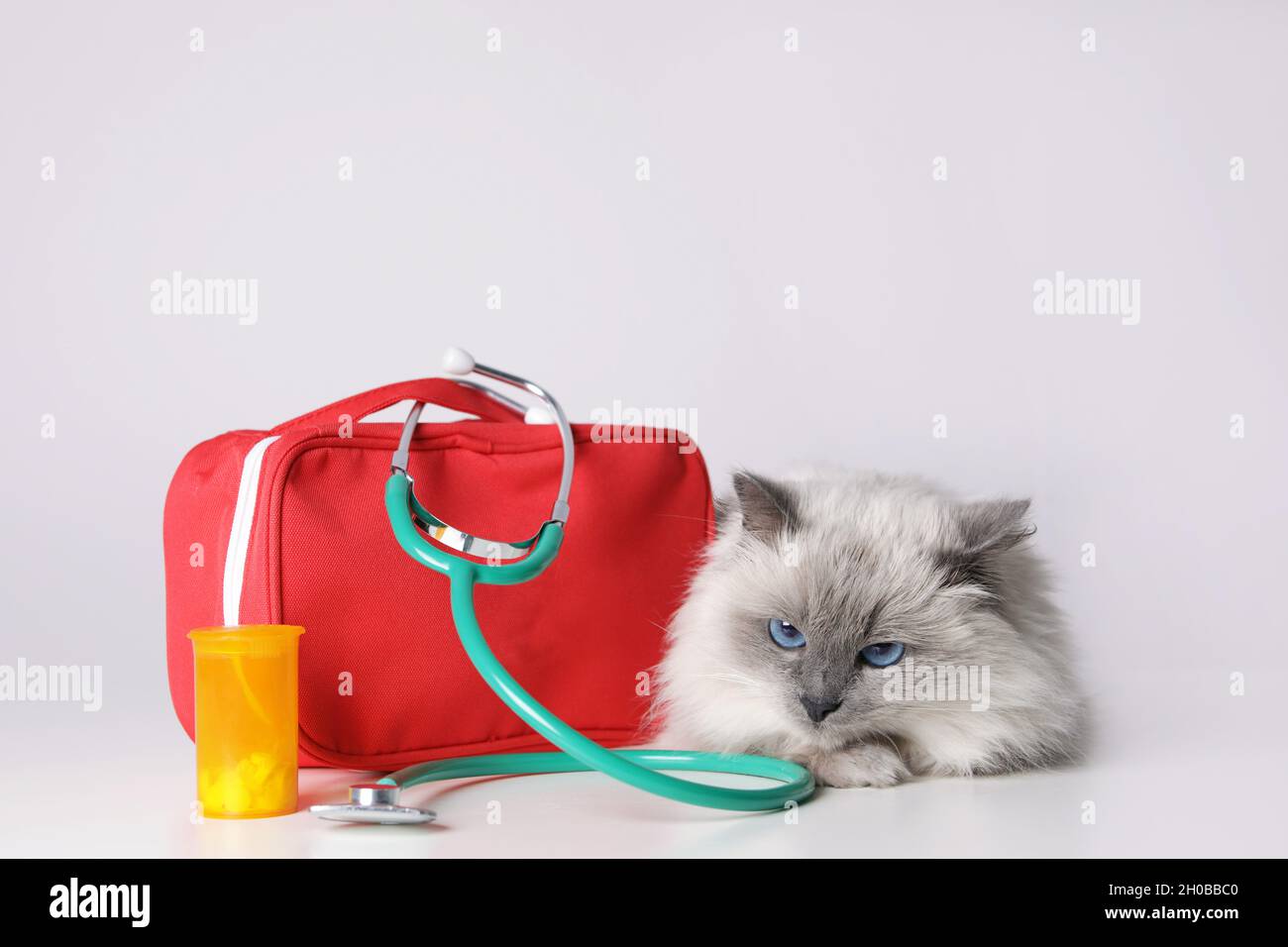 Cat accident symbol hi-res stock photography and images - Alamy